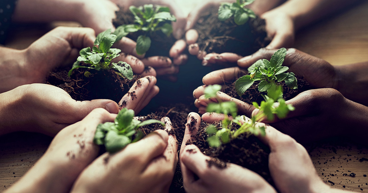 Sen. Muth Announces Growing Greener Plus Grants for Two SD44 Projects - Senator Katie Muth